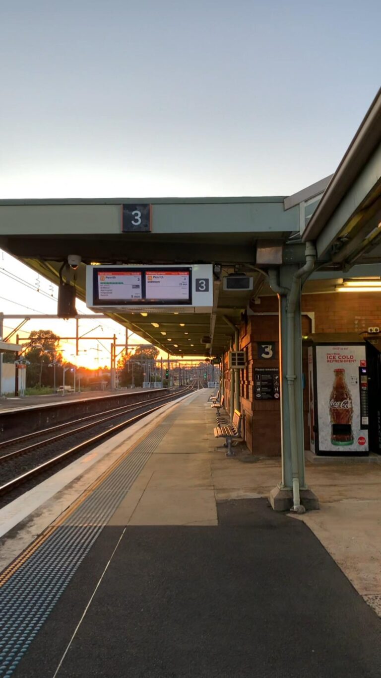 オーストラリア初心者、ツアーなしでハンターバレーを楽しめる？ | ペペミーのトリップite